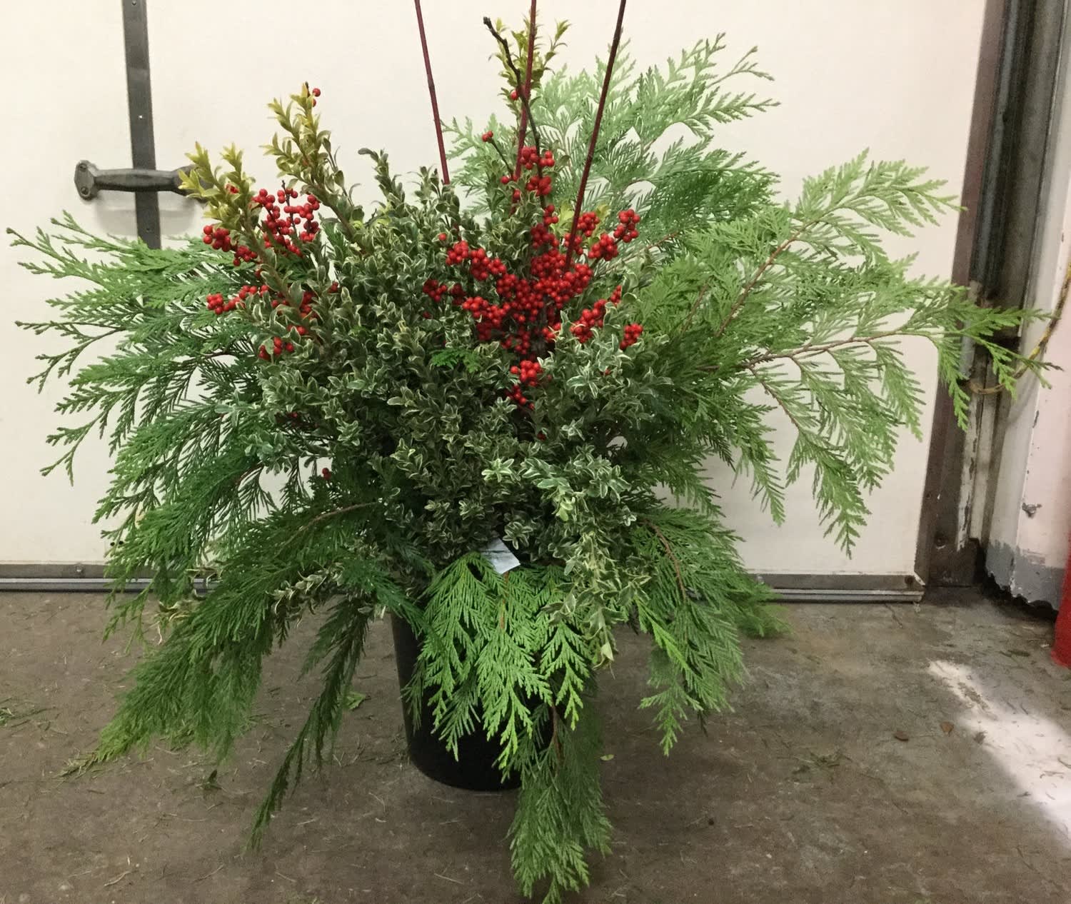 Berries-N-Bunches Porch Pot Kit – 2 Wild Poppies