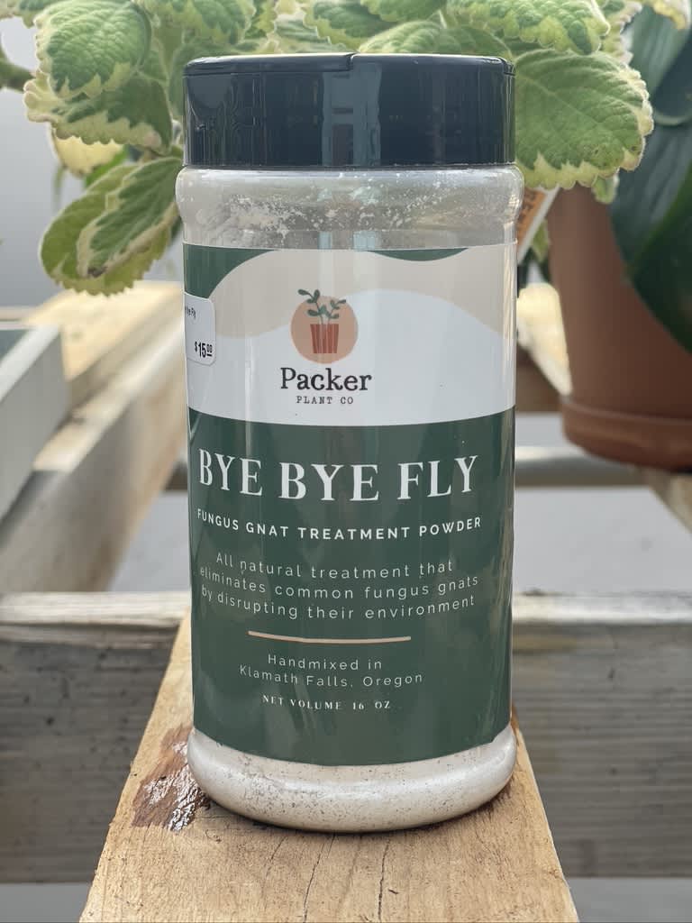 Bye Bye Fly – 2 Wild Poppies